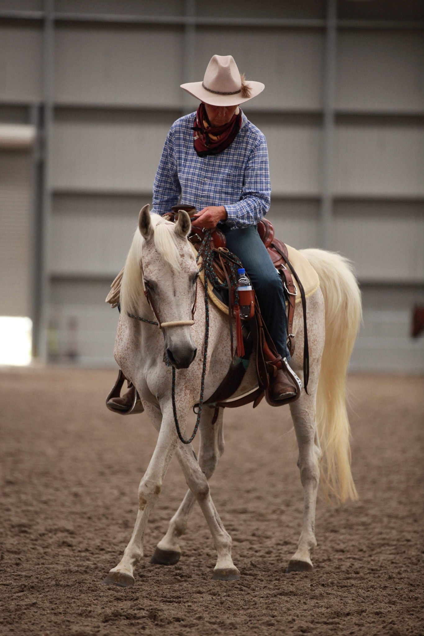 EQUINE ELOQUENCE – MEET DAME JOOLS TOPP, HORSE WHISPERER
